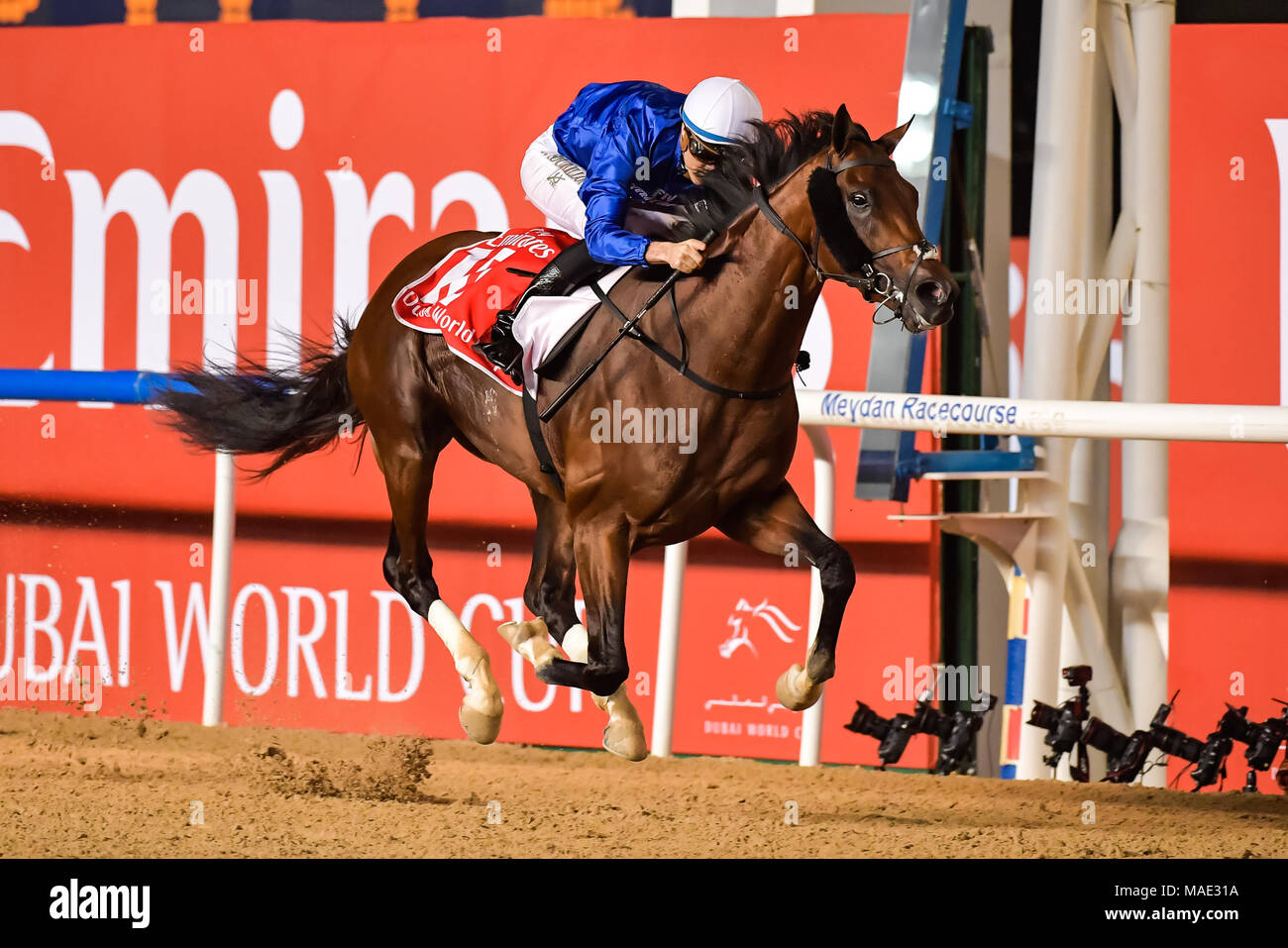 Linea del godolphin arabo immagini e fotografie stock ad alta ...