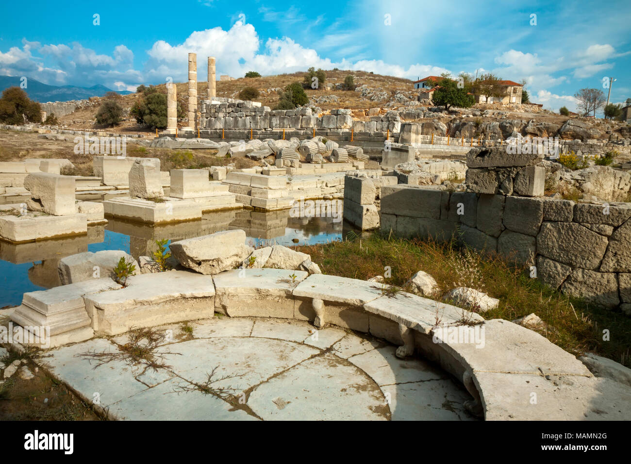 Greek goddess leto immagini e fotografie stock ad alta risoluzione - Alamy
