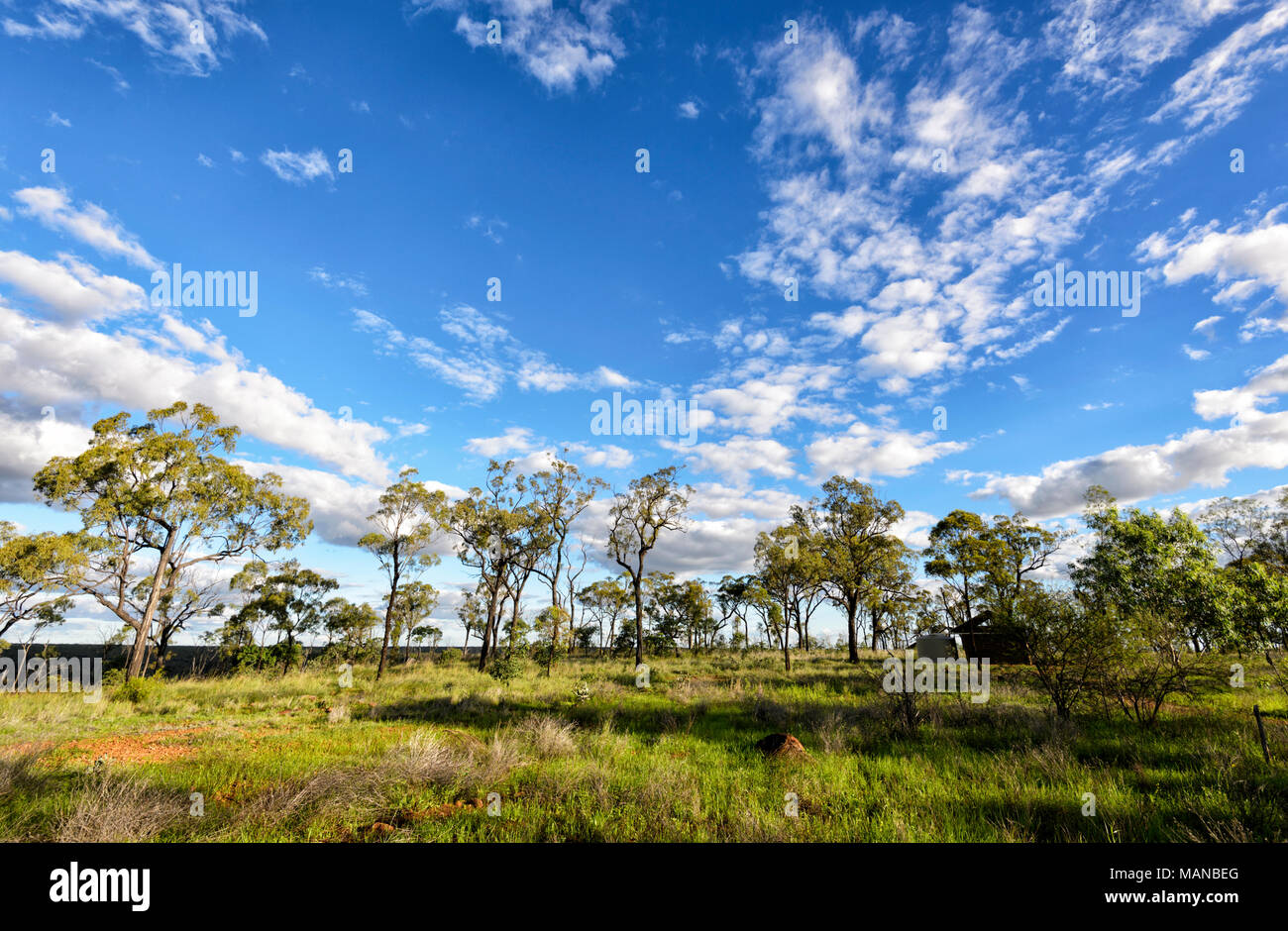 Parco della savana immagini e fotografie stock ad alta risoluzione - Alamy