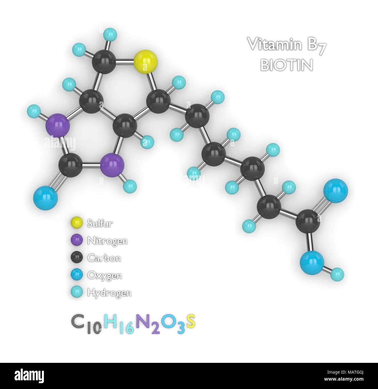 Modello idrogeno molecola ossigeno strutturale orizzontale immagini e ...