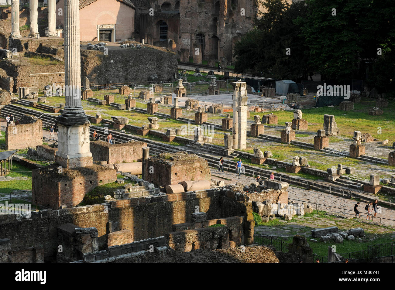 Colonna di foca (colonna di Phocas), Basilica Giulia (Basilica Giulia ...