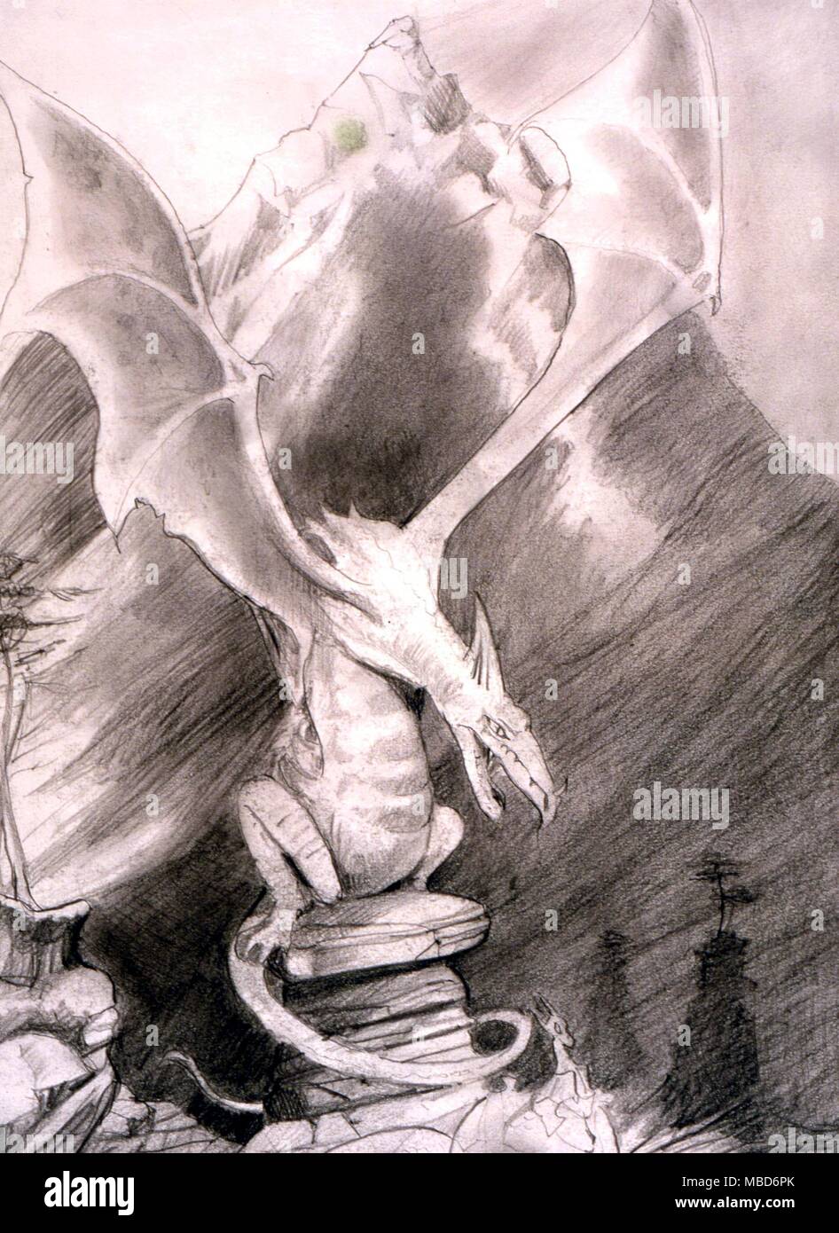 Disegno del drago immagini e fotografie stock ad alta risoluzione - Alamy