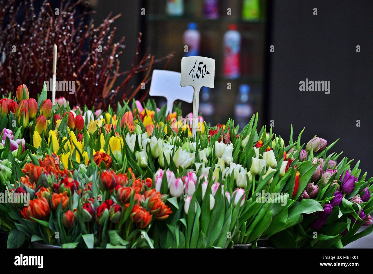 Vienna austria flower shop immagini e fotografie stock ad alta ...