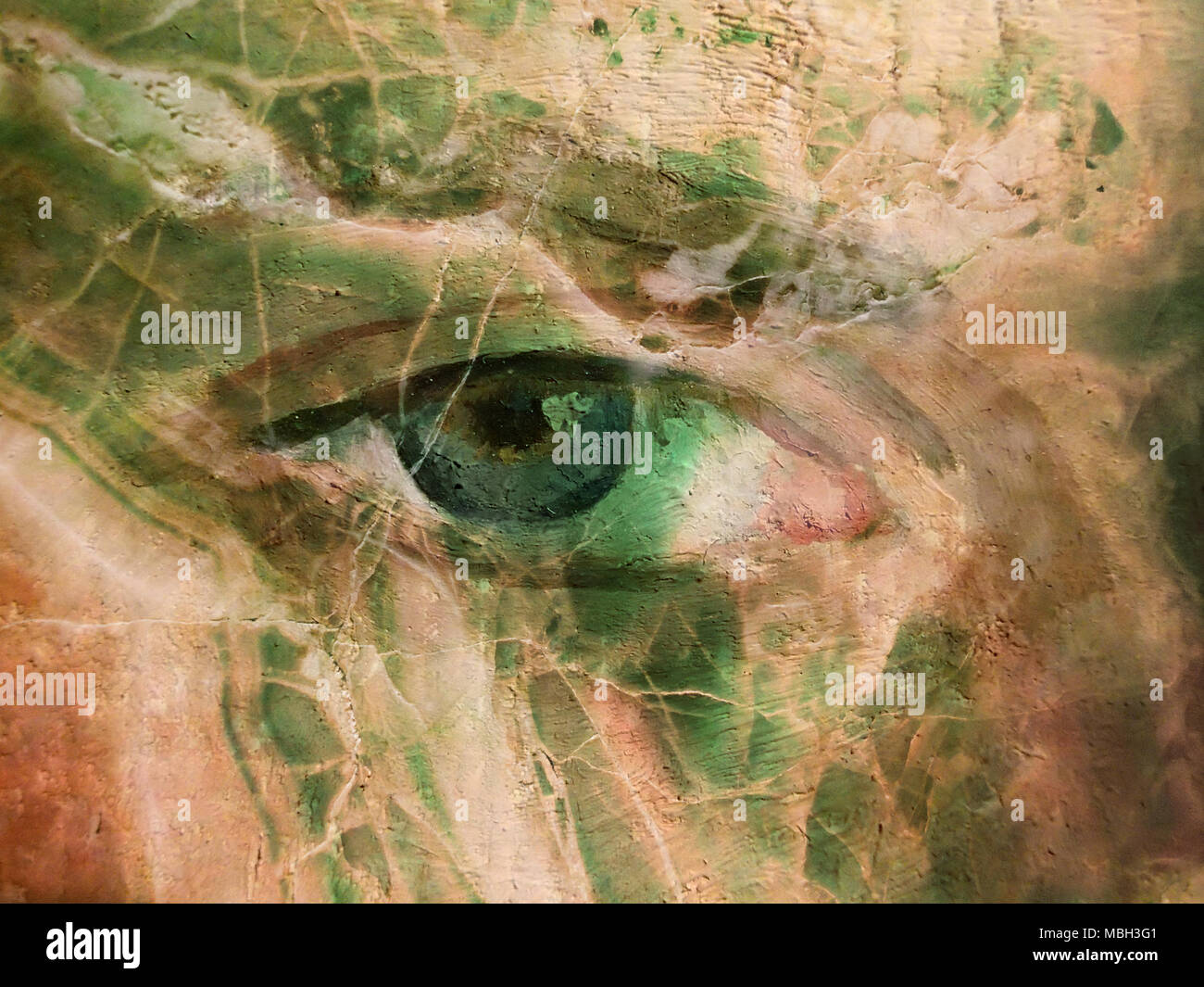 Viso mimetico dipinto immagini e fotografie stock ad alta risoluzione ...