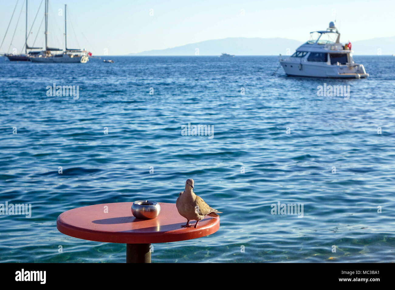 Bodrum sul mare immagini e fotografie stock ad alta risoluzione - Alamy