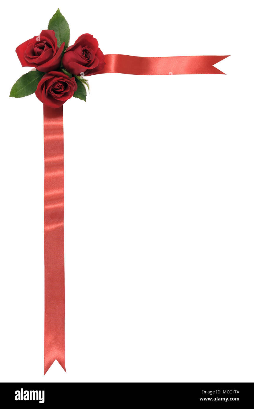 Border red roses rose petals immagini e fotografie stock ad alta ...
