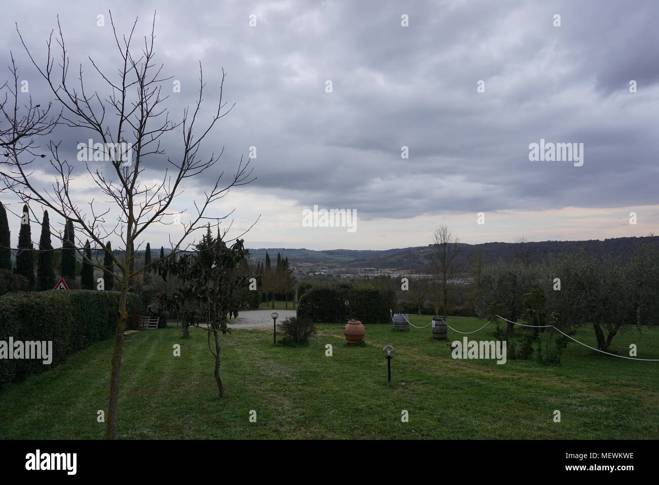 Vigne toscana immagini e fotografie stock ad alta risoluzione - Alamy