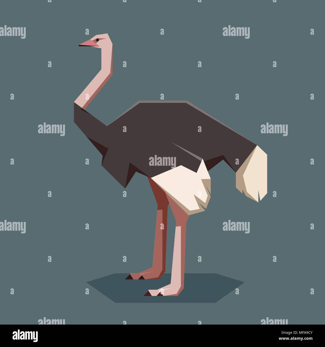 Disegno di struzzo Immagini Vettoriali Stock - Alamy