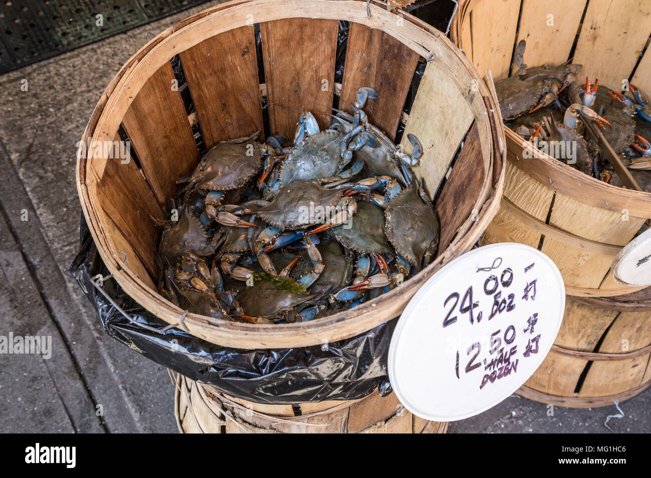 Pesci e granchi immagini e fotografie stock ad alta risoluzione - Alamy