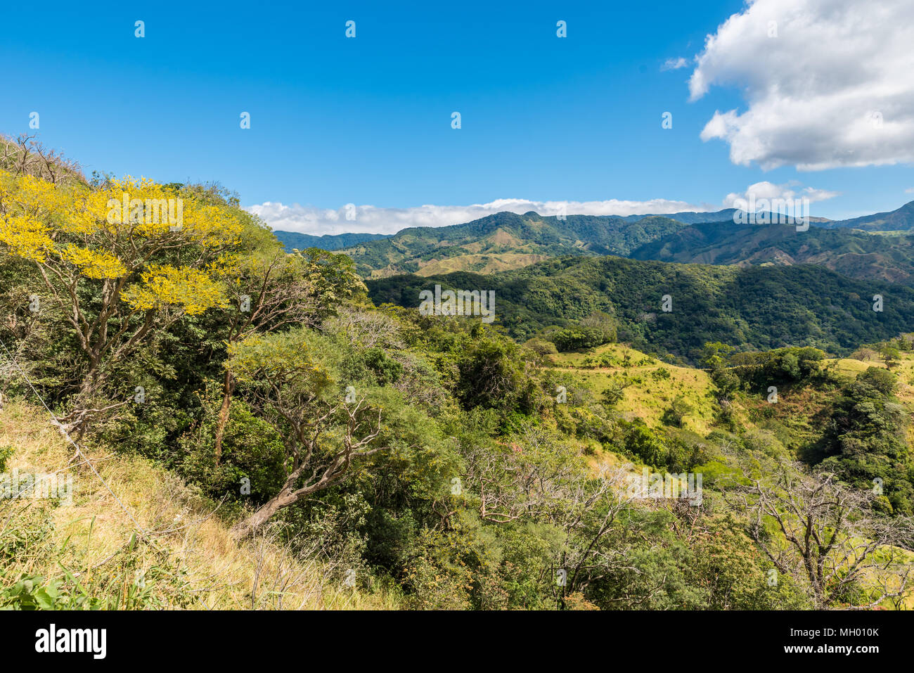 Foresta Pluviale Foreste Pluviali Immagini e Fotos Stock - Alamy