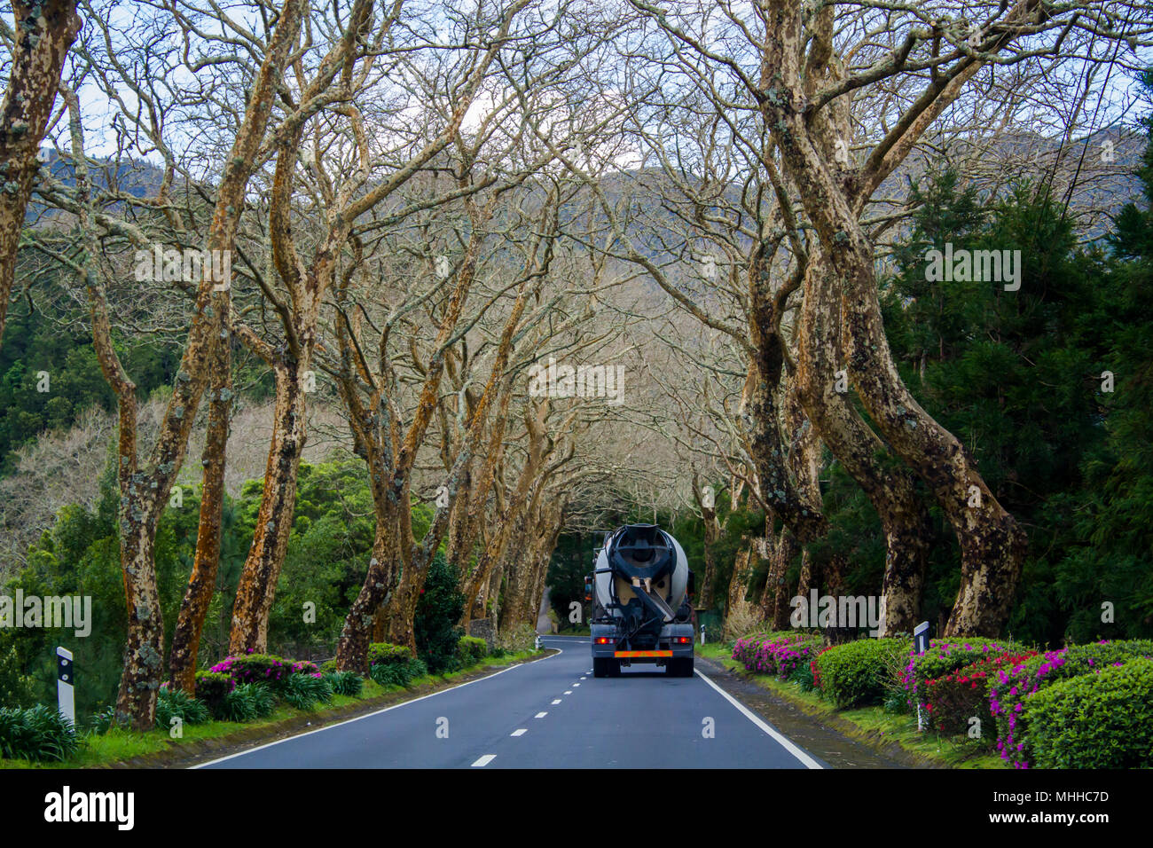 Guida alberata immagini e fotografie stock ad alta risoluzione - Alamy