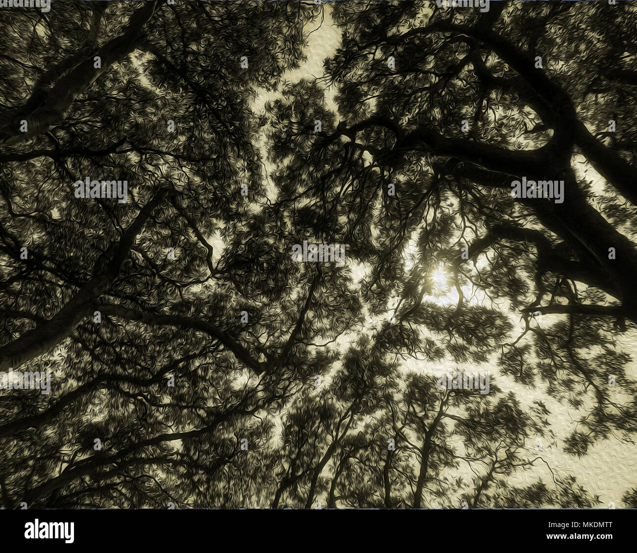 Stampa fotografica seppia immagini e fotografie stock ad alta ...