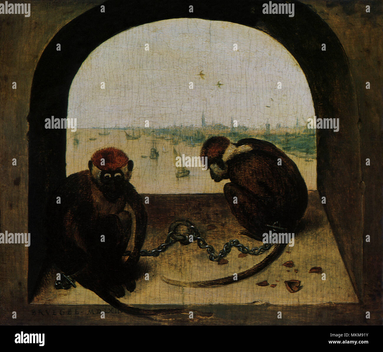 Due scimmie si siedono immagini e fotografie stock ad alta risoluzione ...