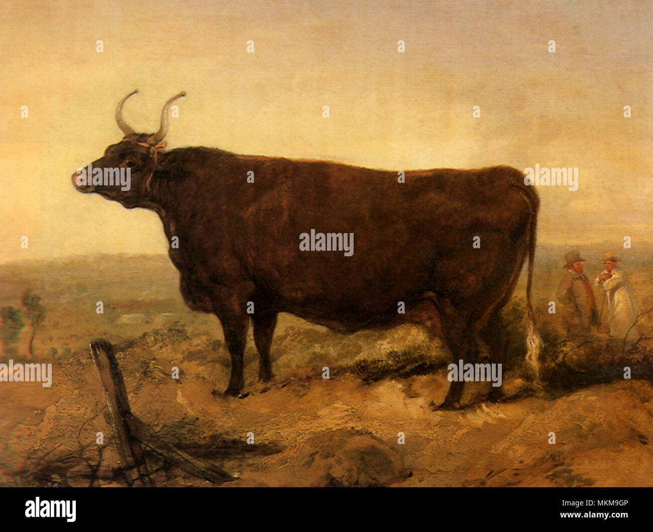 Fauna del devon del nord immagini e fotografie stock ad alta ...