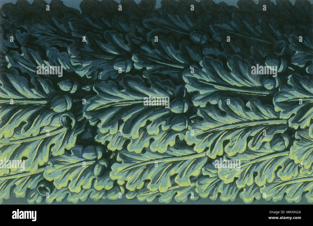 Foglie d'acanto immagini e fotografie stock ad alta risoluzione - Alamy