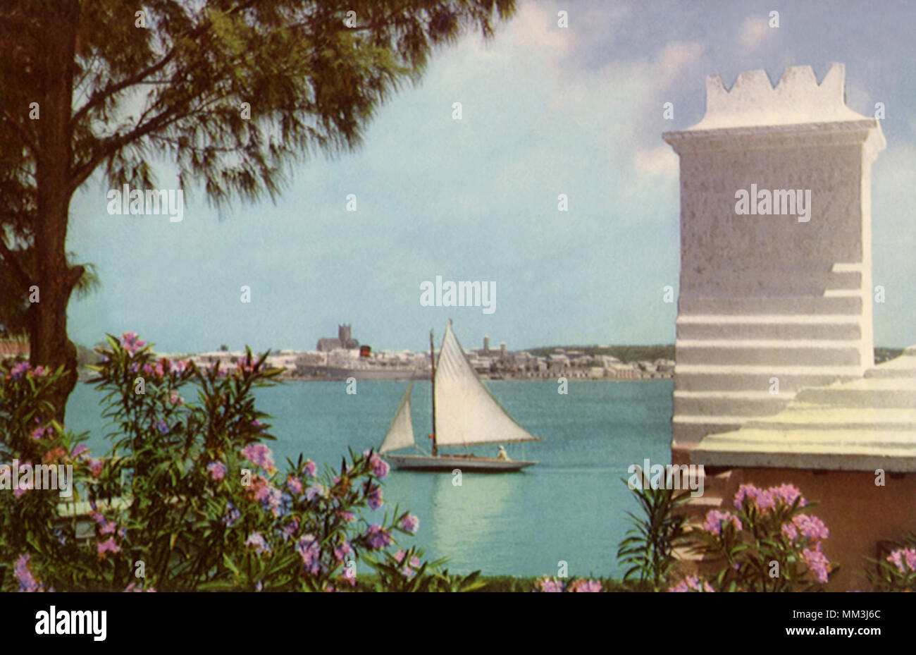 Paget bermuda immagini e fotografie stock ad alta risoluzione - Alamy