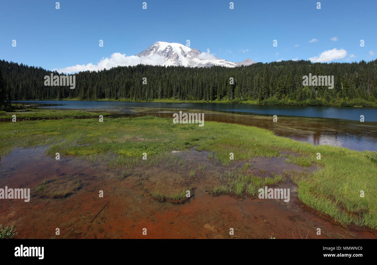 Parco nazionale del monte rainier wa usa immagini e fotografie stock ad ...