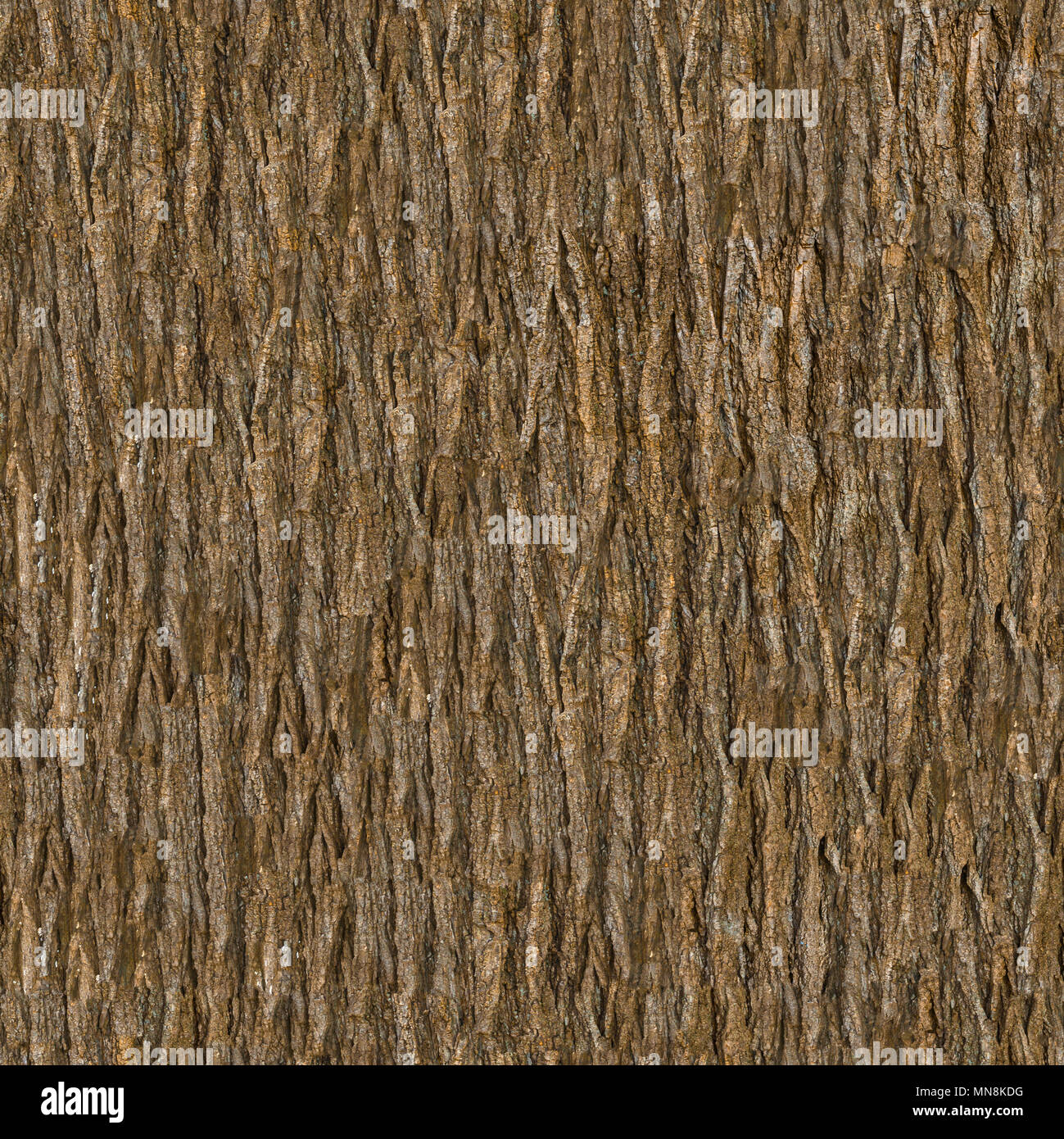 Seamless tileable wood texture immagini e fotografie stock ad alta ...