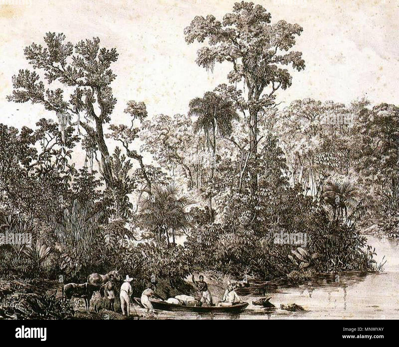 Fiume rio paraiba immagini e fotografie stock ad alta risoluzione - Alamy