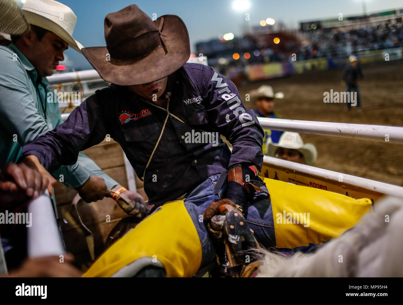 Rodeo toro Immagini e Fotos Stock - Alamy