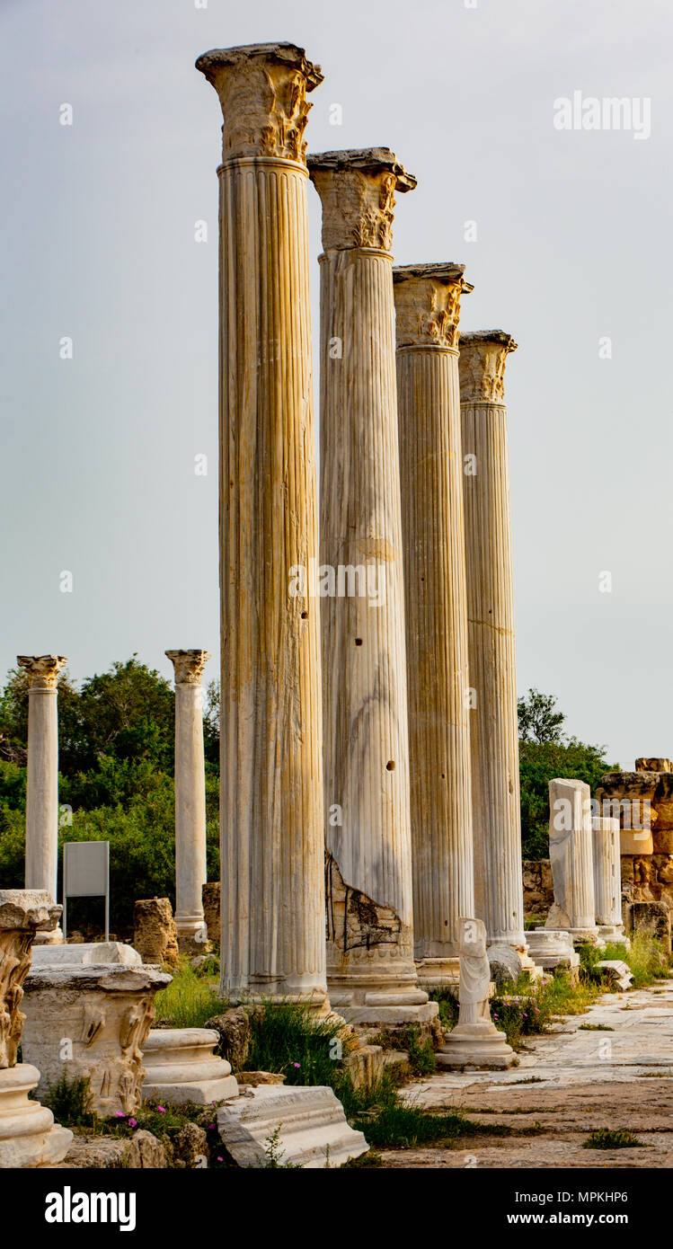 Colonne della colonna del salame cipro immagini e fotografie stock ad ...