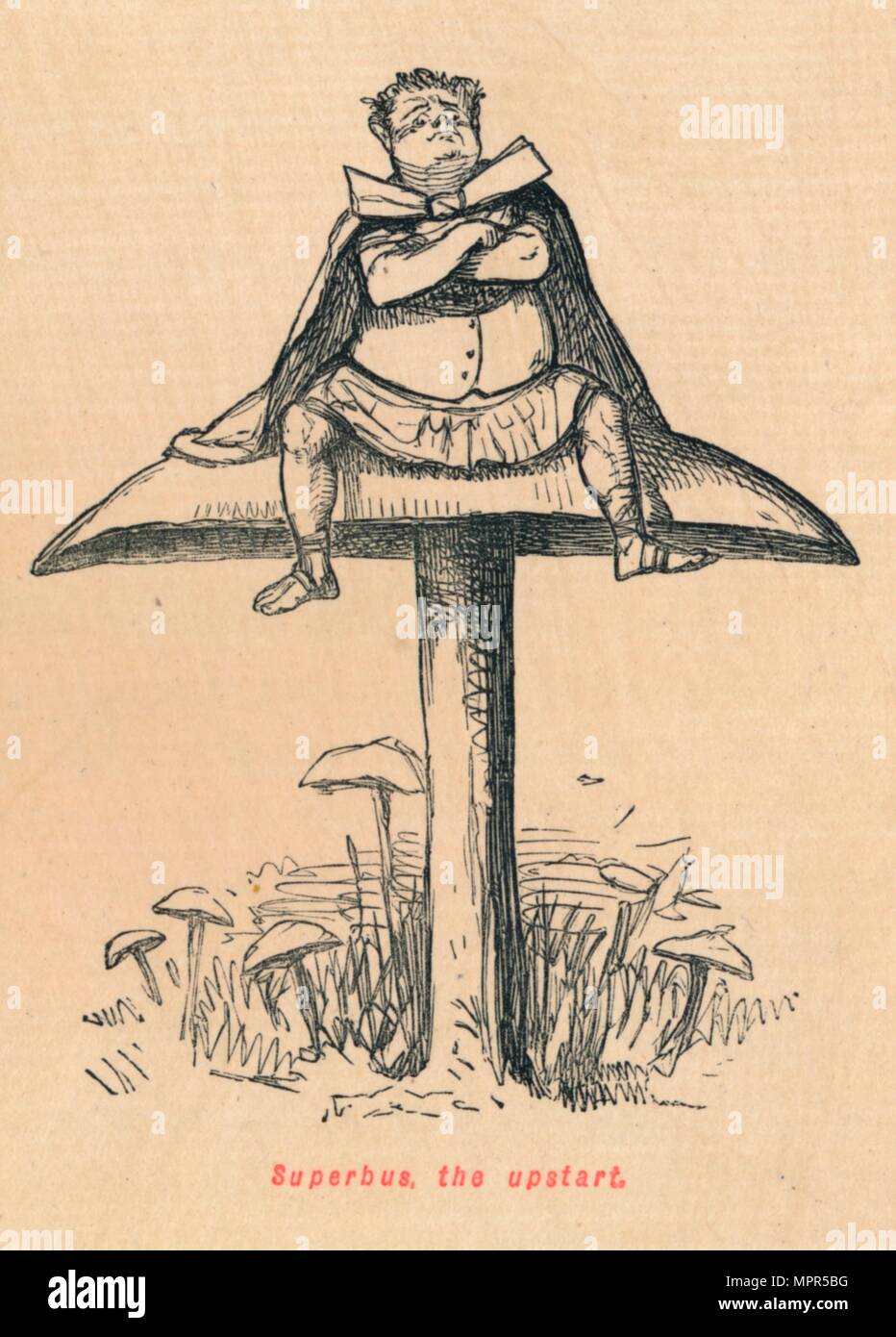 Tarquinius superbus immagini e fotografie stock ad alta risoluzione - Alamy