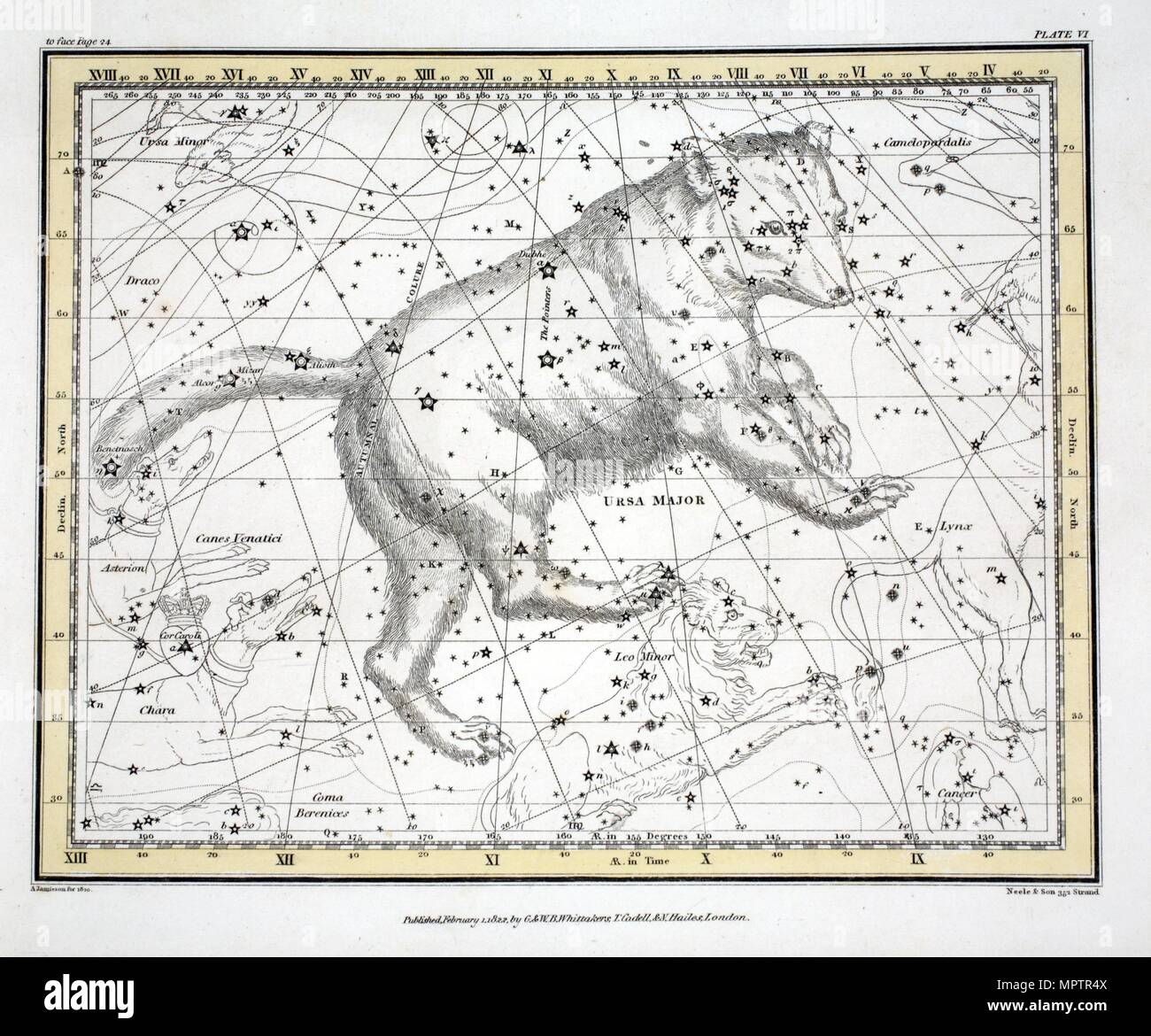 Ursa zodiacale immagini e fotografie stock ad alta risoluzione - Alamy