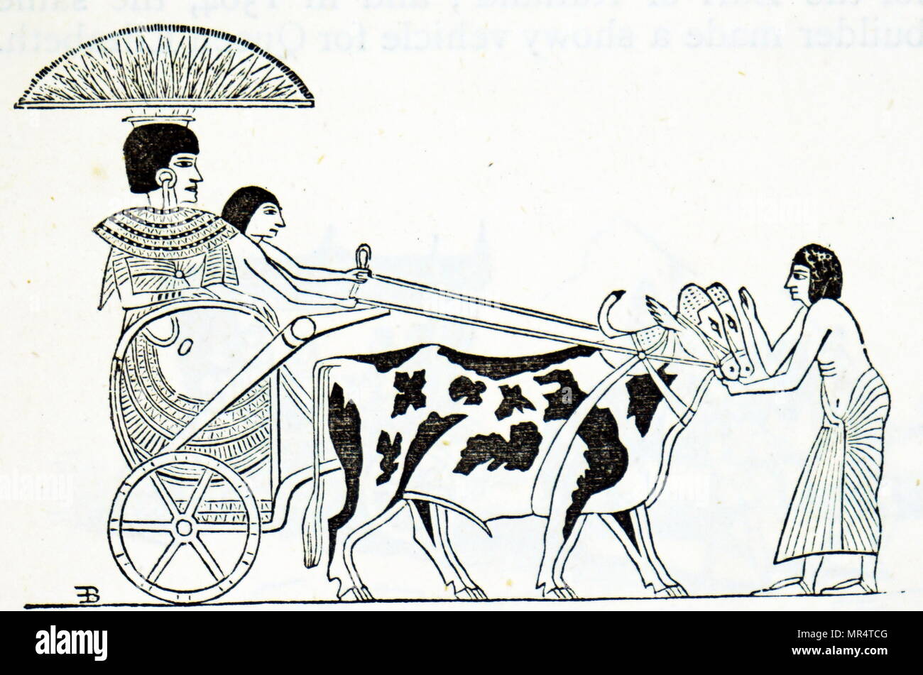 Antico carro egizio da trasporto immagini e fotografie stock ad alta ...