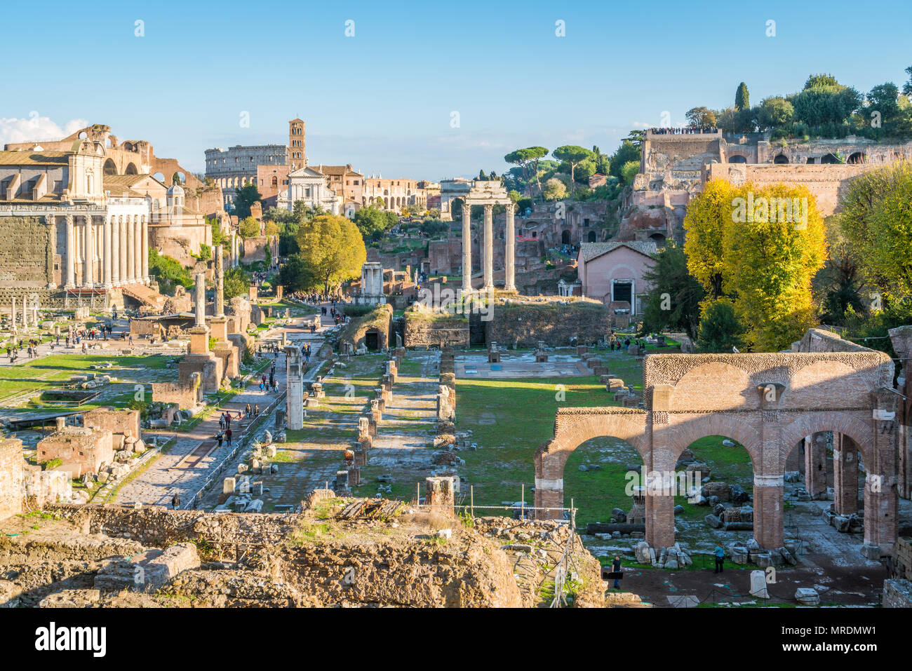Il Foro Romano e il Colosseo come visto dal Colle del Campidoglio, Roma ...