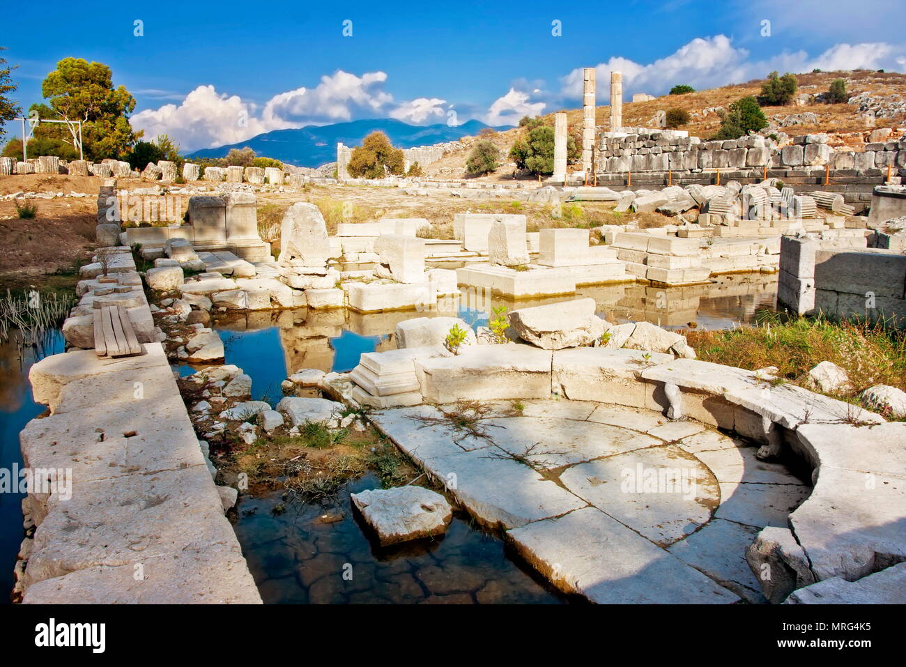 Greek goddess leto immagini e fotografie stock ad alta risoluzione - Alamy