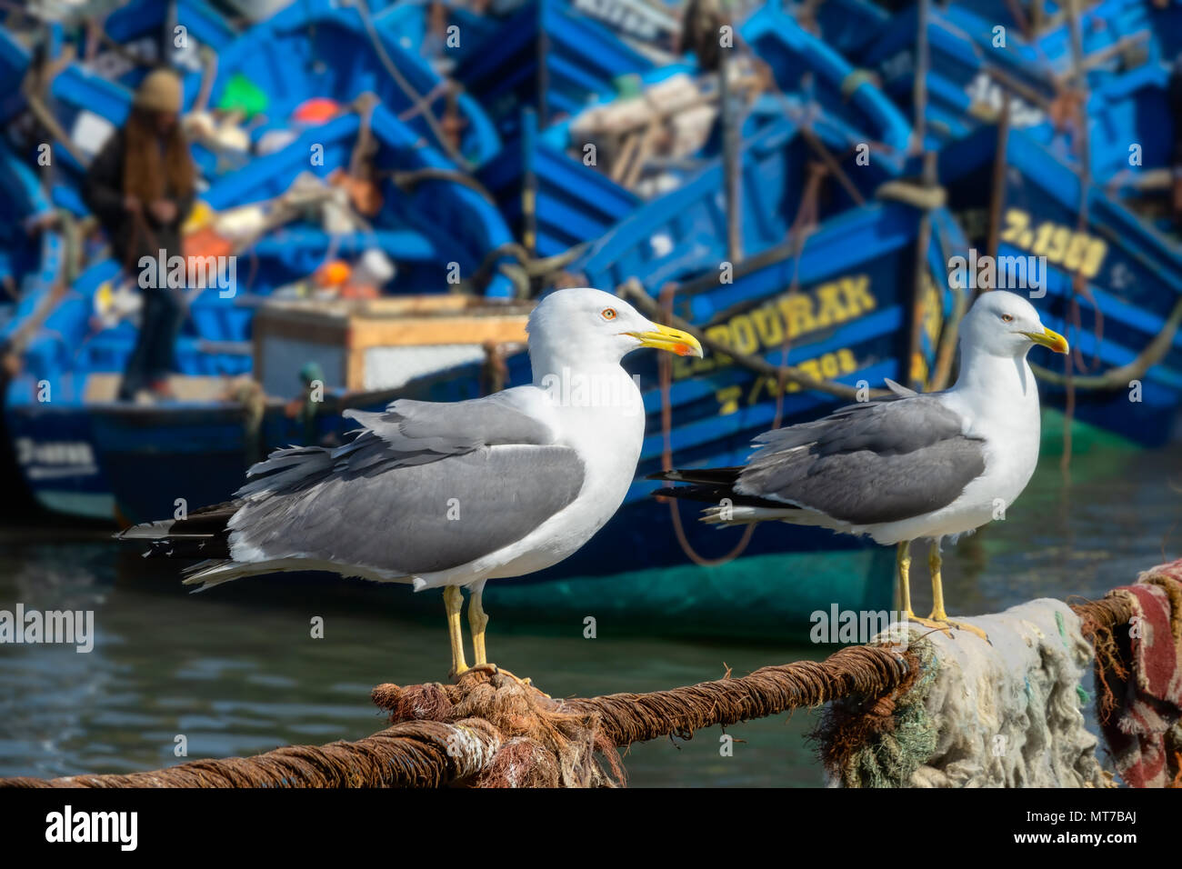 Barche del marocco immagini e fotografie stock ad alta risoluzione - Alamy
