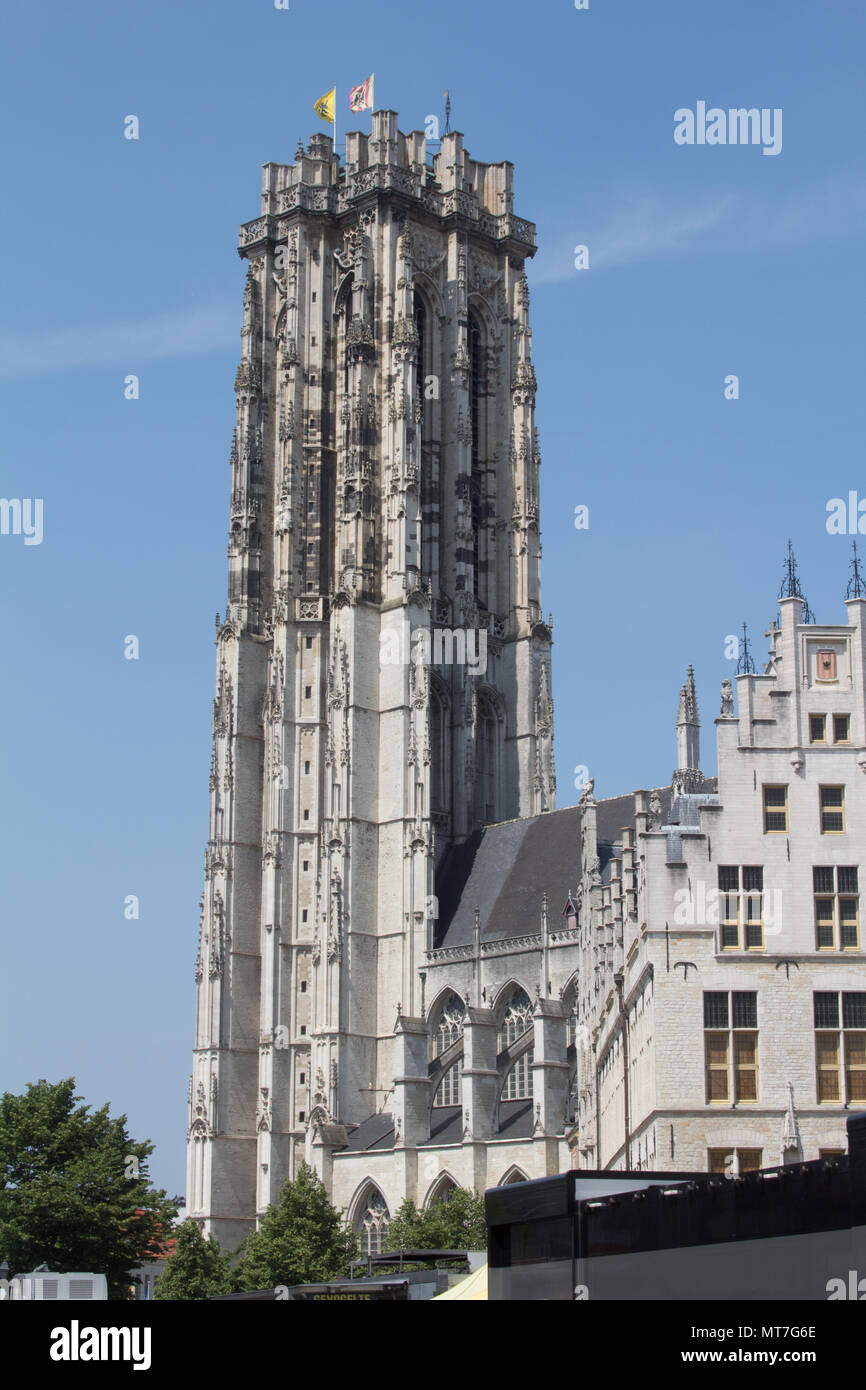 Cattedrale di san rumbold immagini e fotografie stock ad alta ...