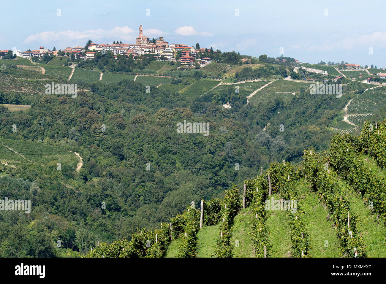 L'Italia, panorama di vigneti del Piemonte: Langhe-Roero e Monferrato ...