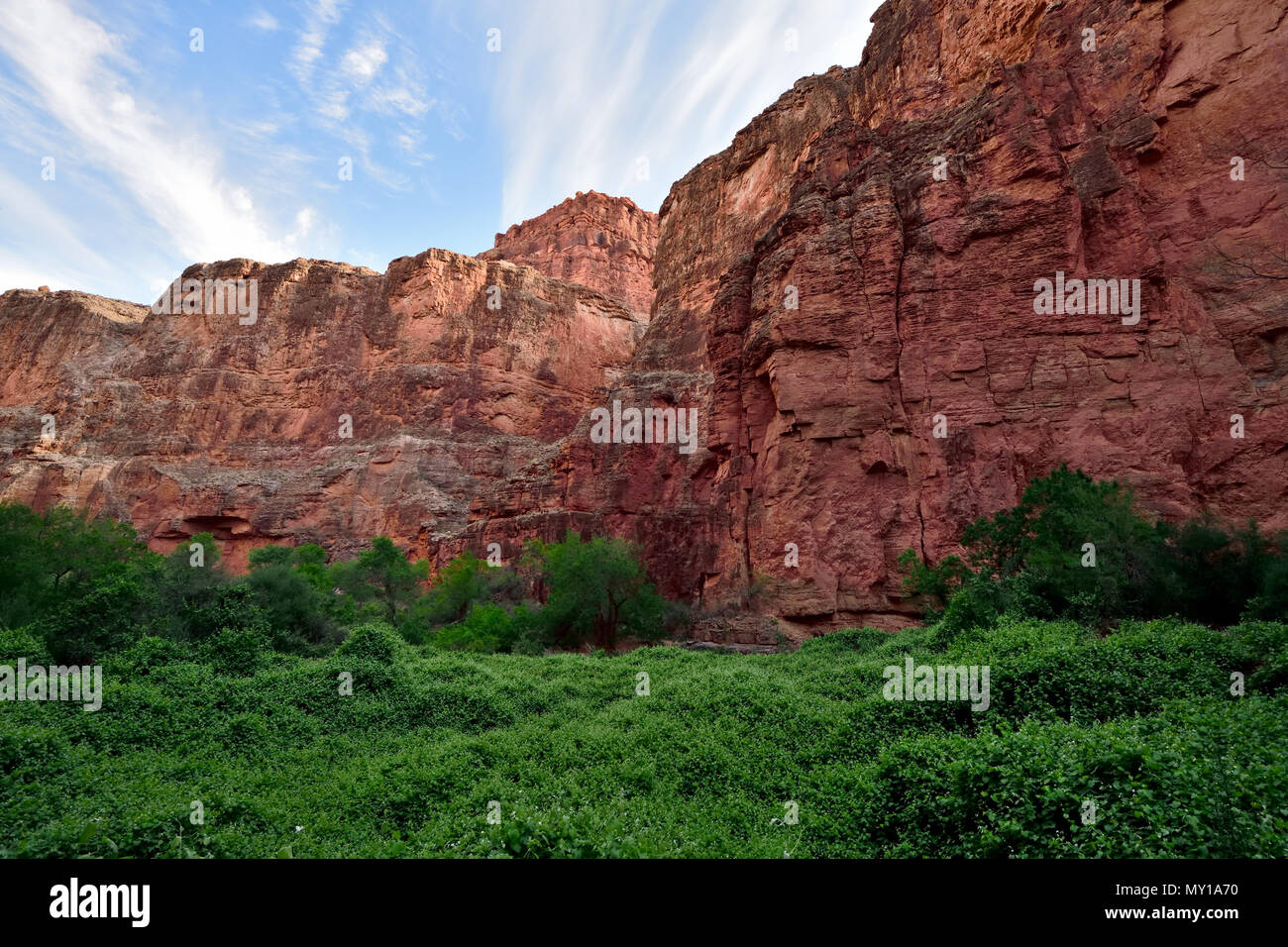 Supai indian village grand canyon immagini e fotografie stock ad alta ...