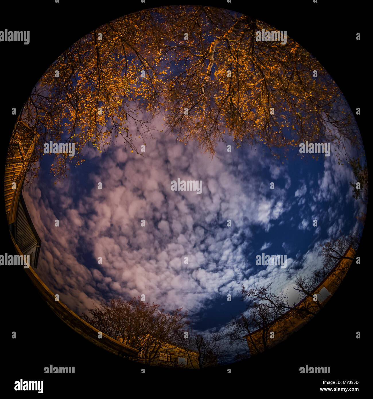 Stella polare a 360 gradi immagini e fotografie stock ad alta ...