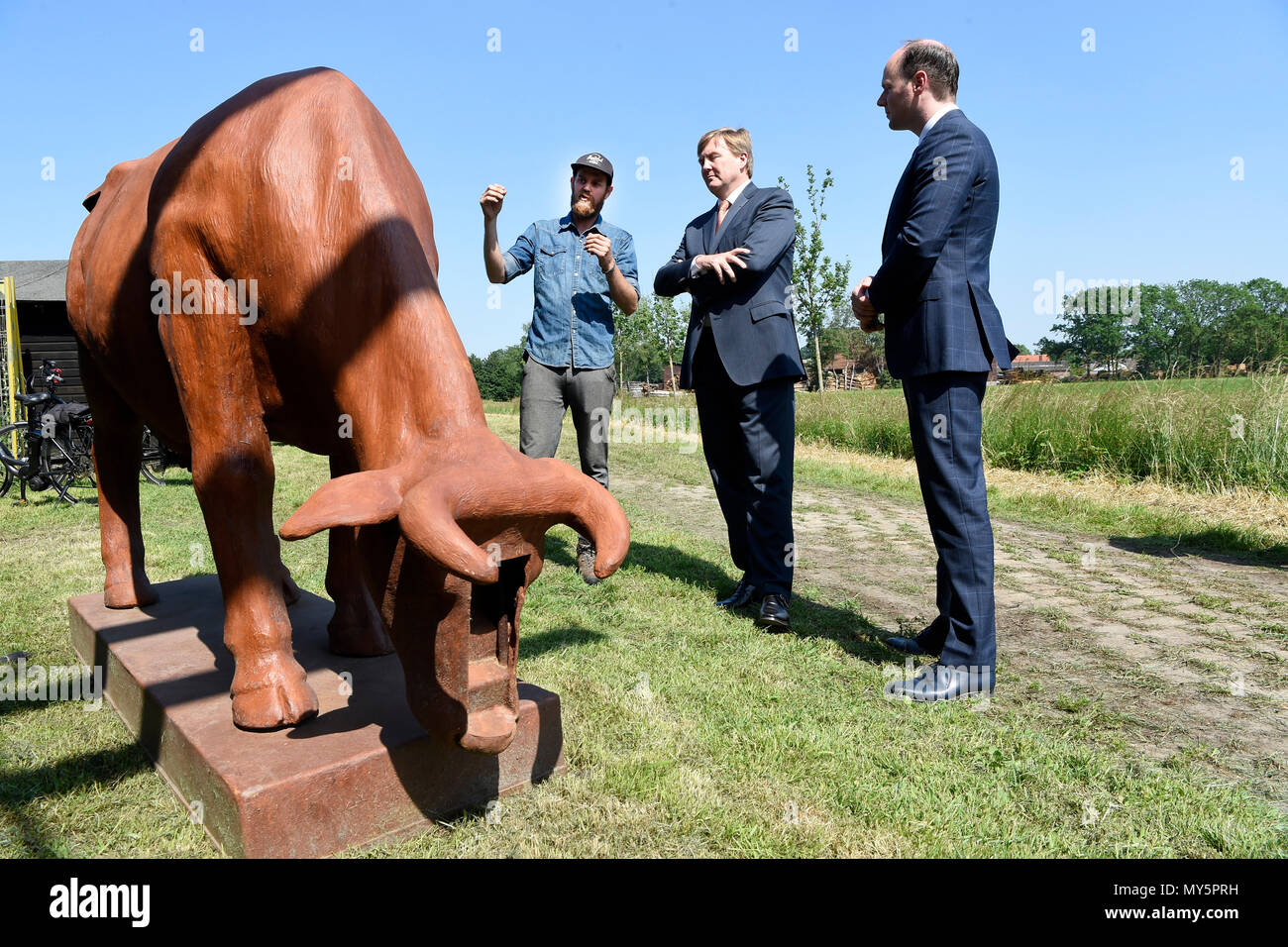 Hilvarenbeek, Paesi Bassi. Il 6 giugno, 2018. Re Willem-Alexander dei ...