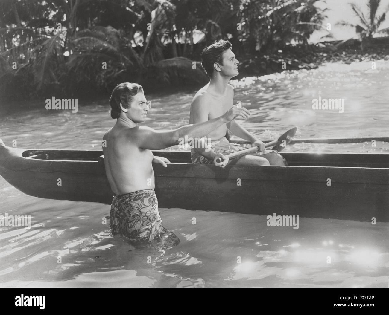 Pellicola originale titolo: uccello del paradiso. Titolo inglese ...