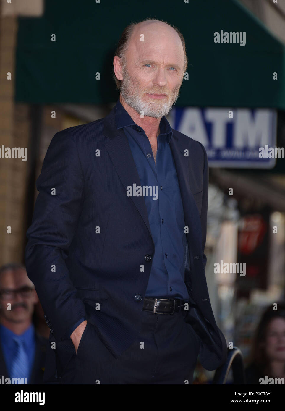 Ed Harris ha onorato con una stella sulla Hollywood Walk of Fame a Los ...