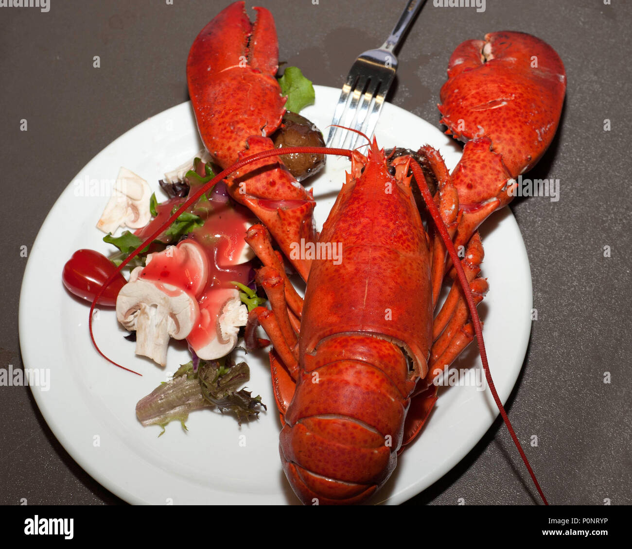 Aragosta gigante immagini e fotografie stock ad alta risoluzione - Alamy