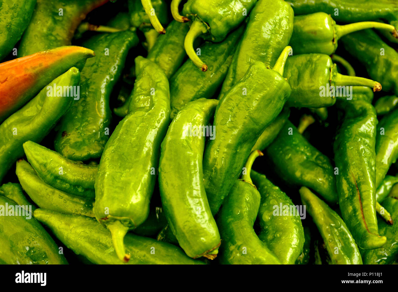 Peperoni verdi immagini e fotografie stock ad alta risoluzione - Alamy