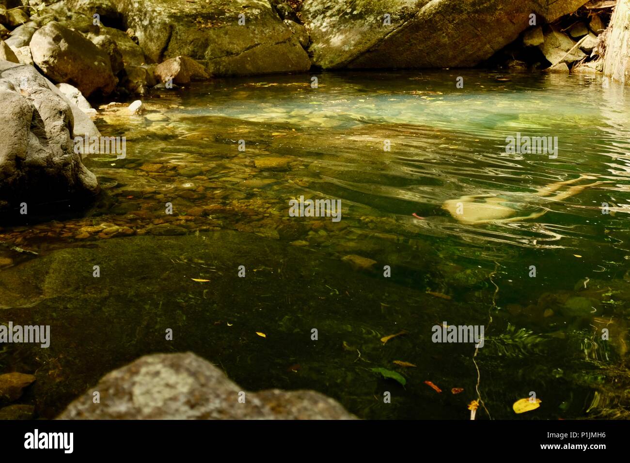 Giovane uomo che nuota sott'acqua in una piscina tropicale di montagna ...