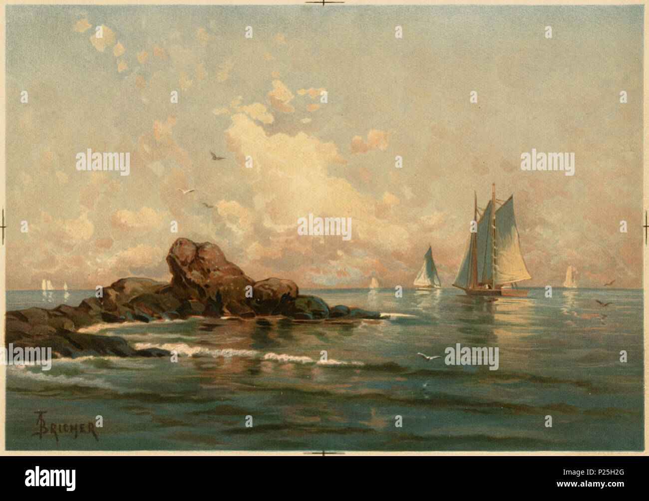 Descripción y registro masivo immagini e fotografie stock ad alta ...