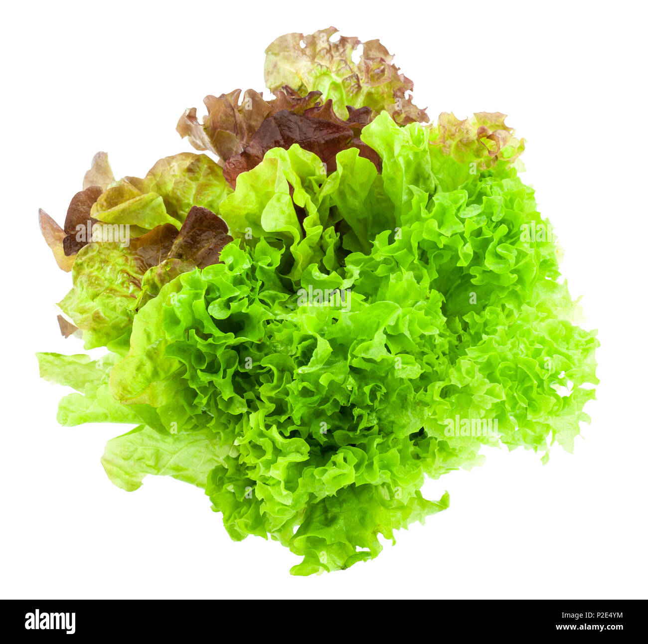 Insalata di lattuga verde immagini e fotografie stock ad alta ...