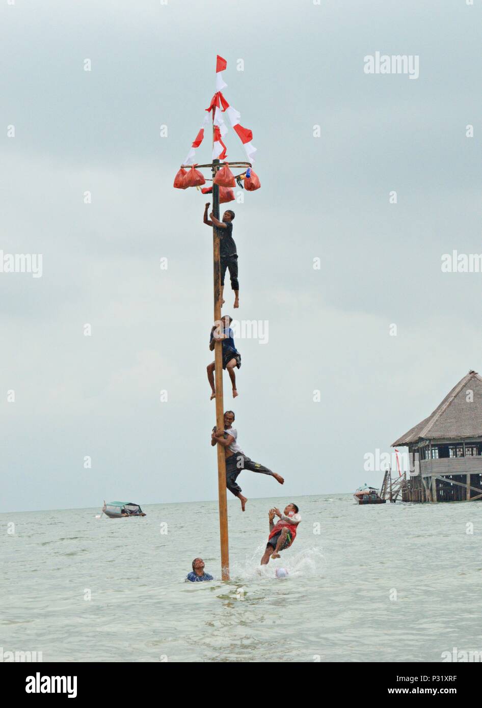 Palma pinang immagini e fotografie stock ad alta risoluzione - Alamy