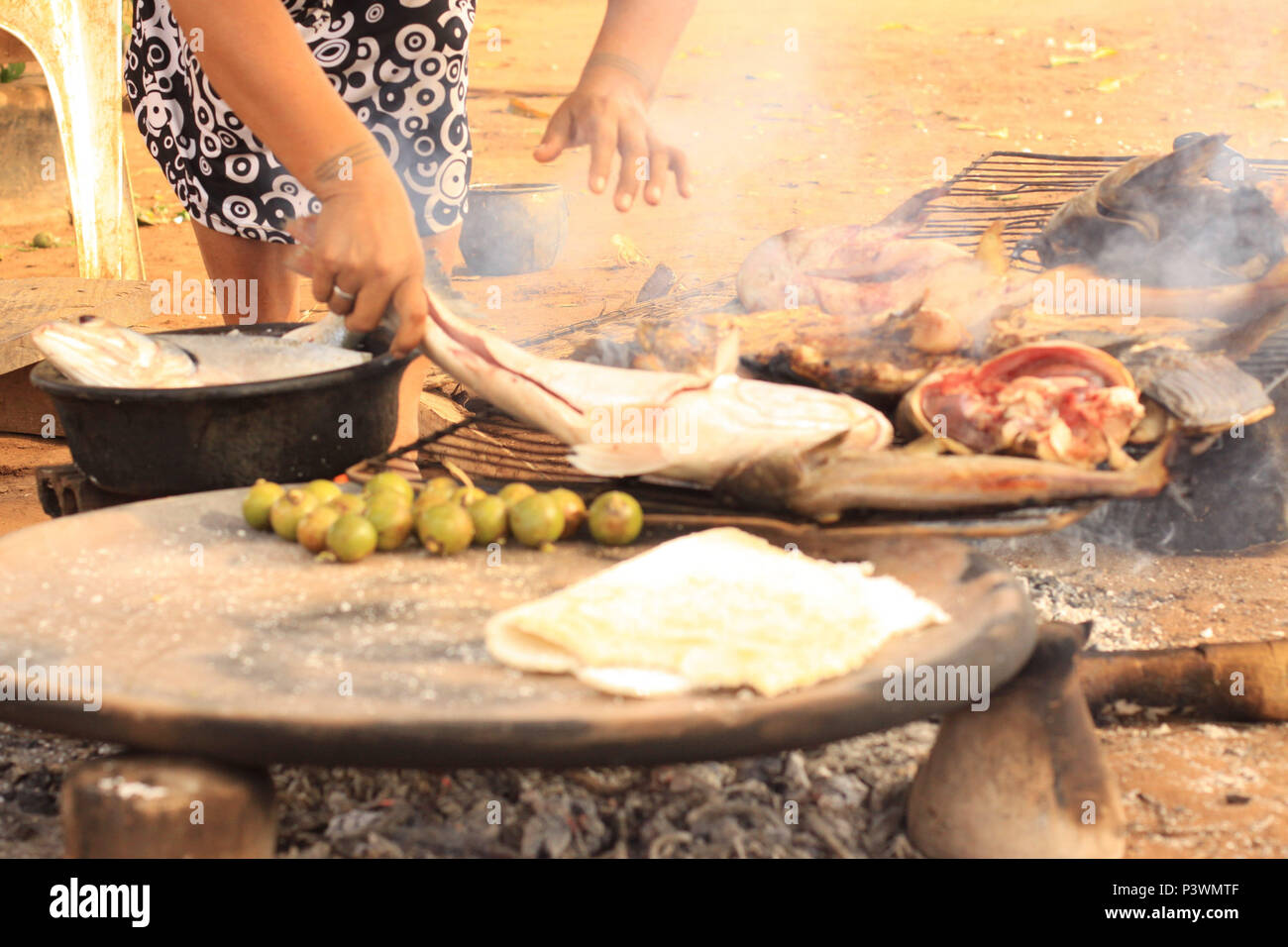 Parque nacional indigena do xingu immagini e fotografie stock ad alta ...