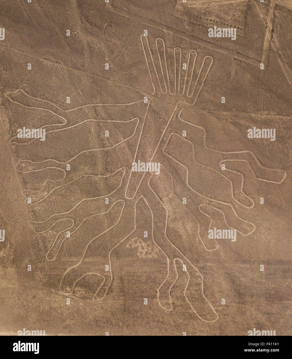 Conjunto de geoglifos antigos chamados de Linhas de Nazca ou Nasca ...
