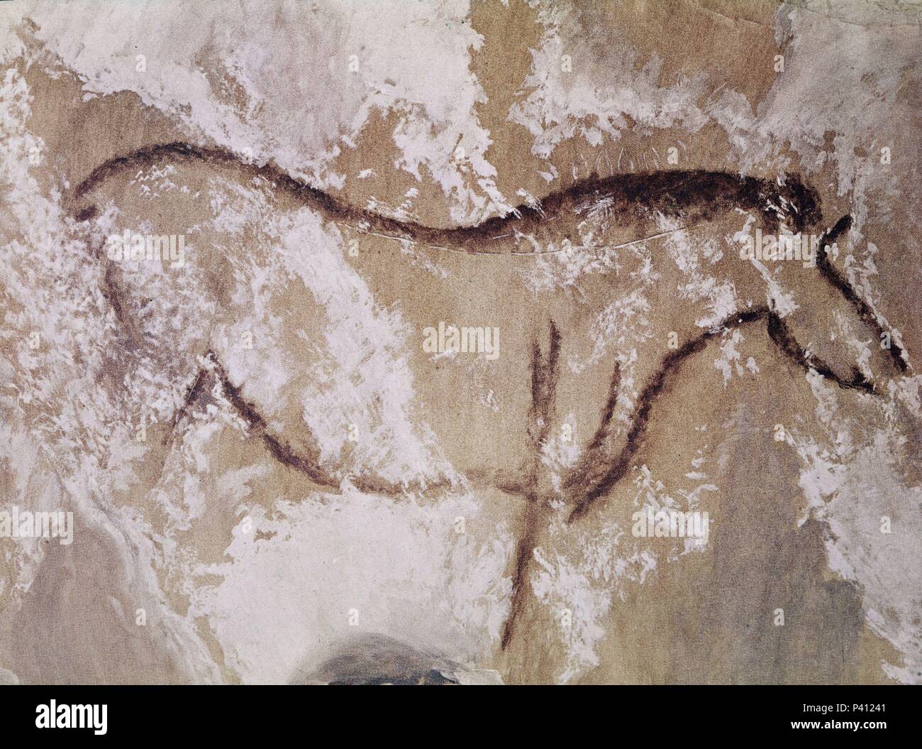 Pittura rupestre asturiana immagini e fotografie stock ad alta ...