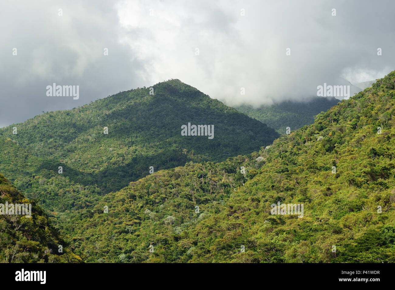 Il sentiero per il picco più alto su Cuba Pico Turquino essendo in una ...