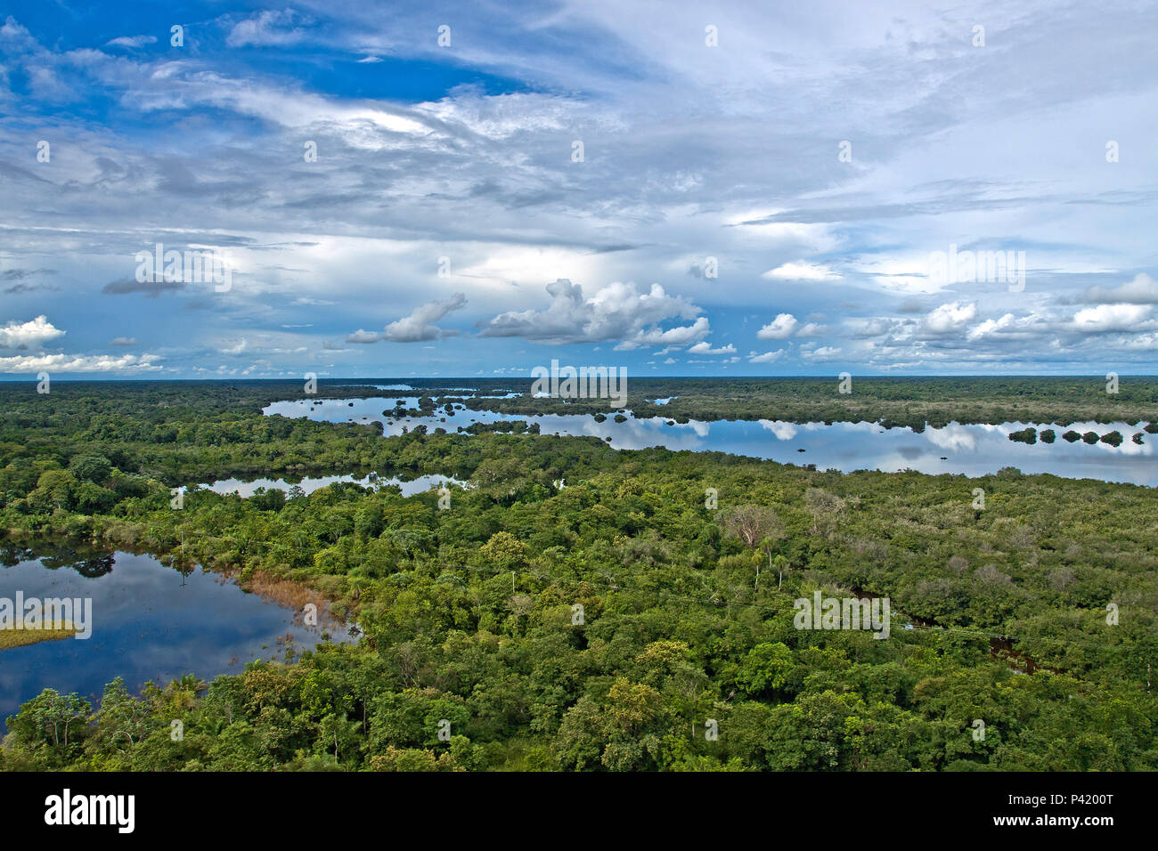 Cheia No Pantanal Immagini E Fotografie Stock Ad Alta Risoluzione Alamy
