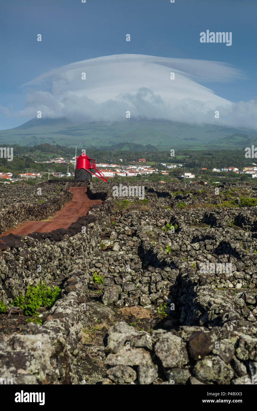 Portogallo Azzorre, isola Pico, Criacao Velha, Moinho Do Frade, mulino ...